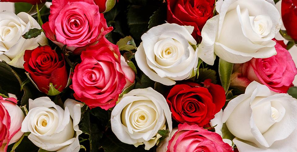 Hopmarket Flowers Florist Worcester Online or 01905 611599